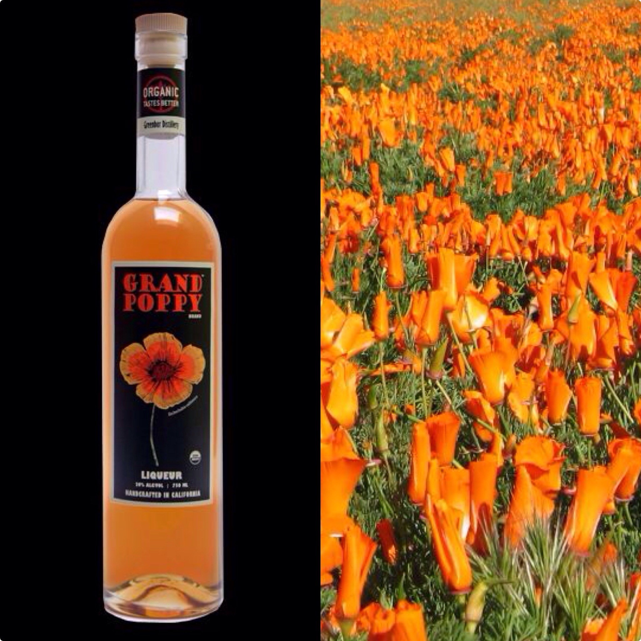 Sipping the Golden State in a Poppy Liqueur | The Dinner Party Download