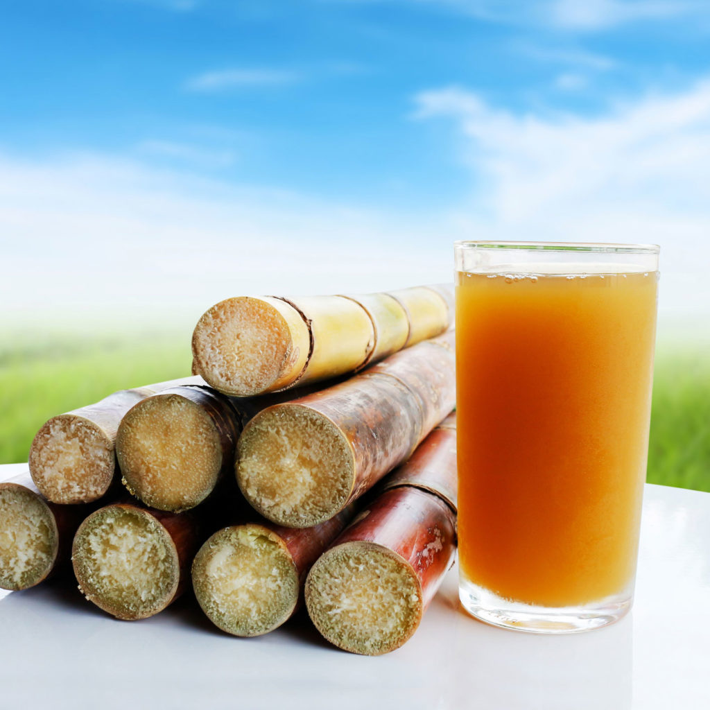 Get a Sweet Taste of Cuba With Guarapo | The Dinner Party Download