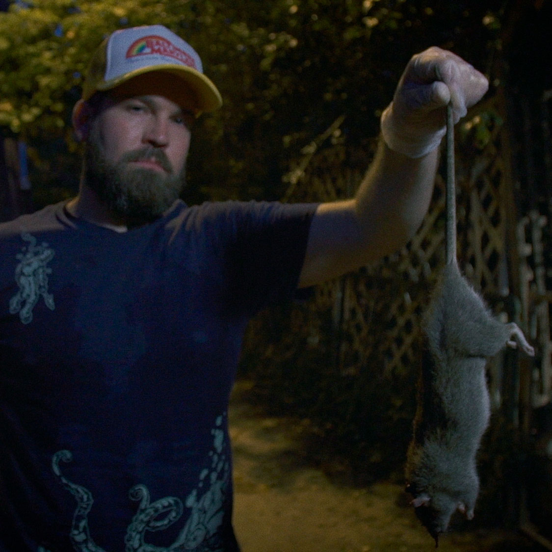 Chattering Class | The Dinner Party Download